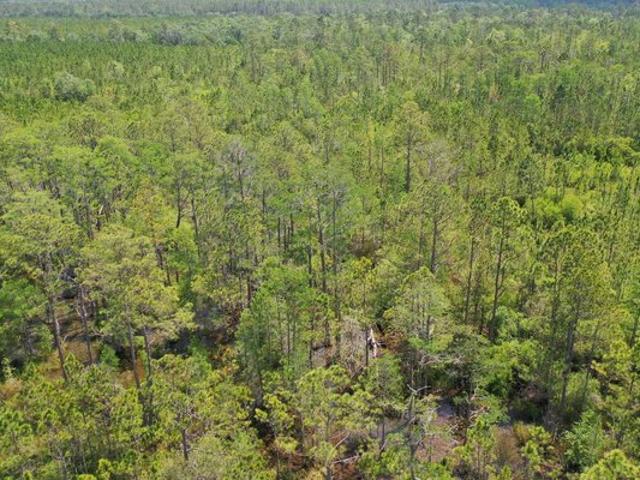 SW Wire Rd, Lee, FL 32059