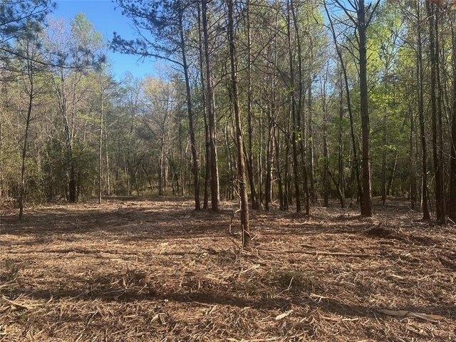Lee Mashburn Rd, Dahlonega, GA 30533