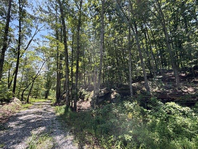 Lee Station Mountain 022 00 Rd Lot 80, Pikeville, TN 37367