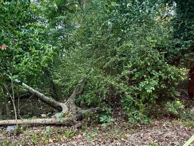 Lee Summit Dr Lot 23, Little Rock, AR 72202