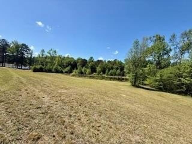 Lee Rd # 124, Salem, AL 36874