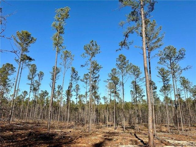 Lee Rd # 278, Salem, AL 36874