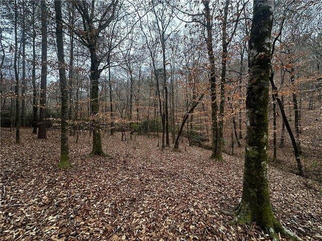 Lee Rd # 367, Valley, AL 36854
