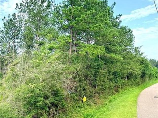 Lee Rd Lot 1A, Franklinton, LA 70438