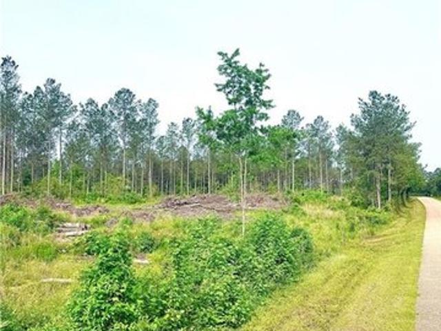 Lee Rd Lot 4, Franklinton, LA 70438