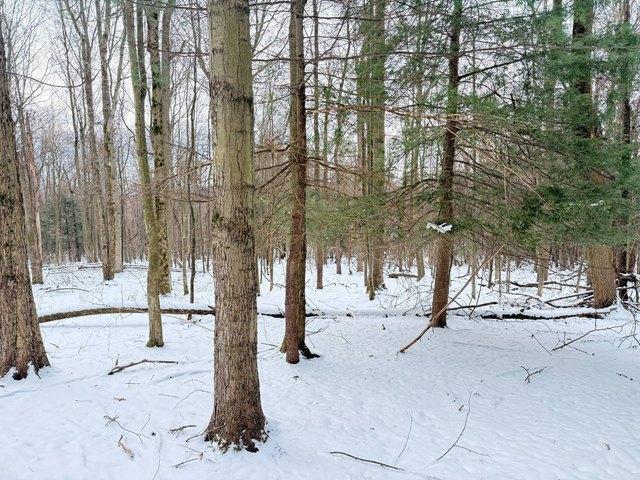 Lee Rd, Waterford, PA 16441