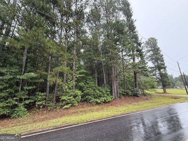 Lee Thompson Rd, Moreland, GA 30259