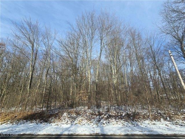 Leffingwell Rd, Berlin Center, OH 44401