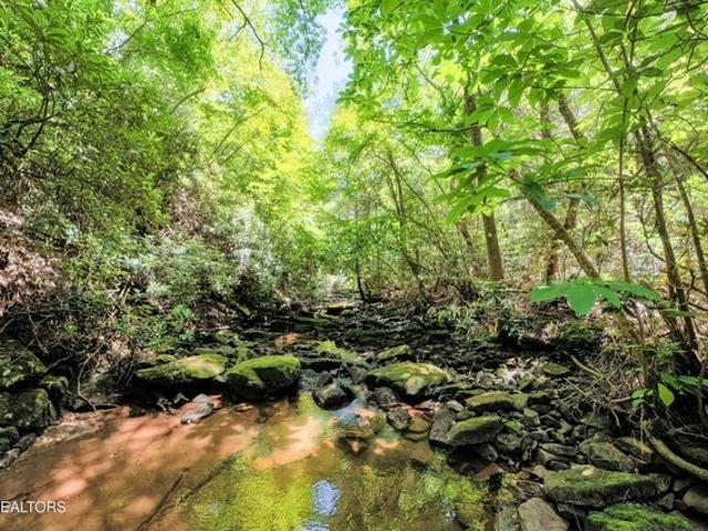 Leffle Webb Rd, Crossville, TN 38572