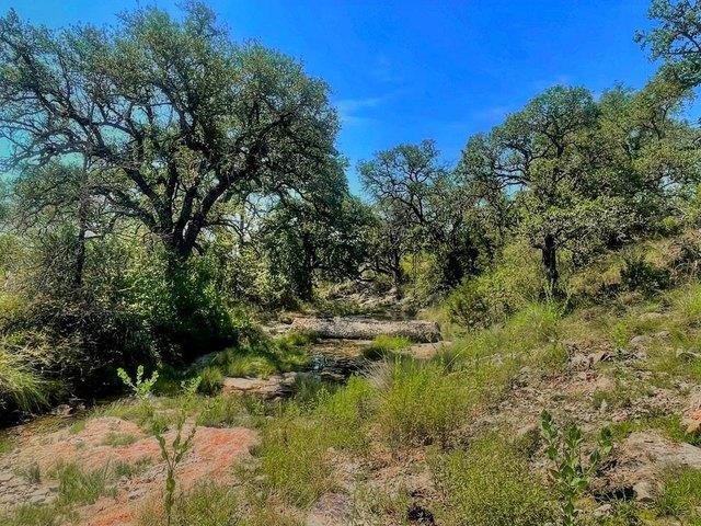 Legacy Rdg Lot 8, Burnet, TX 78611