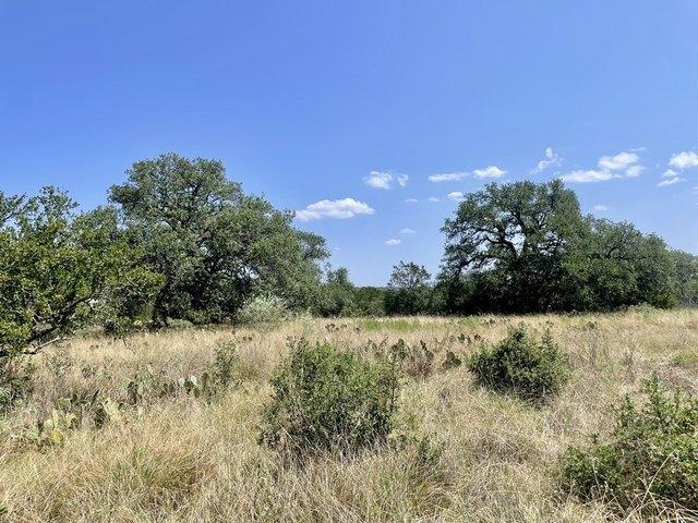 Legacy Rdg Lot 1, Burnet, TX 78611