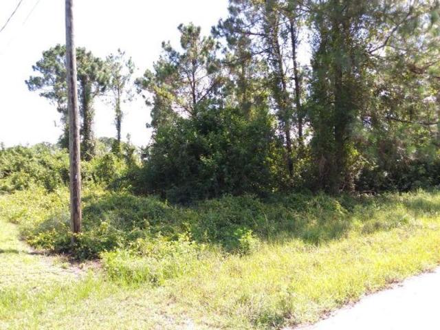 Lehigh Acres FL 33971 LS101011886