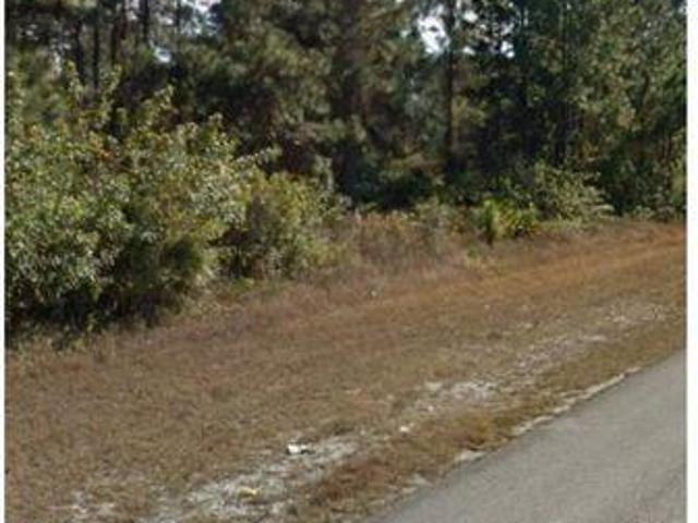 Lehigh Acres FL 33974 LS101011862