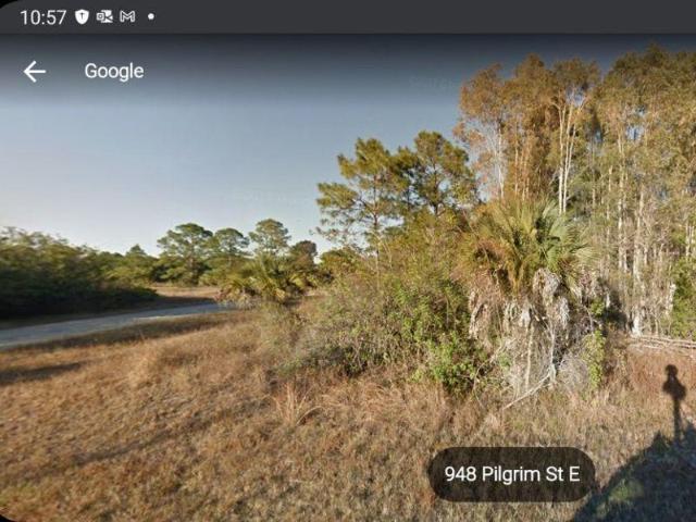 Lehigh Acres FL 33974 LS101011864