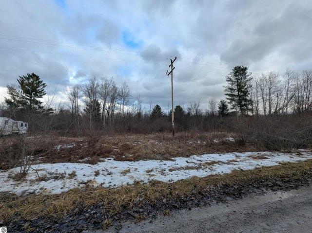 Lehman Rd, Twining, MI 48766