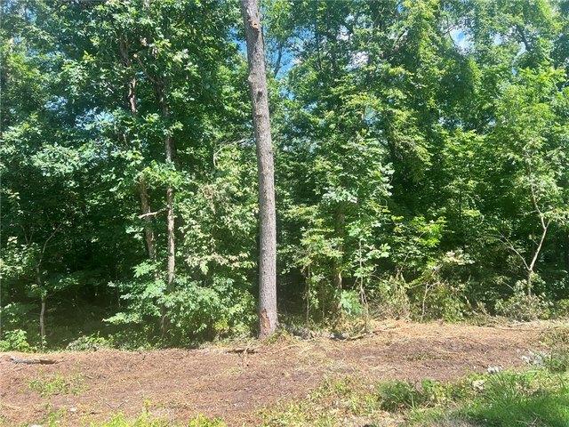 Leicester Dr Lot 55, Bella Vista, AR 72714