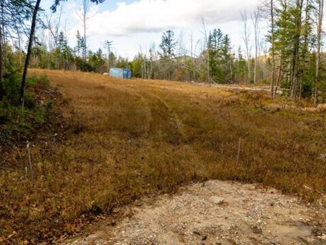 Leighton Corner Rd, Ossipee, Plot For Sale