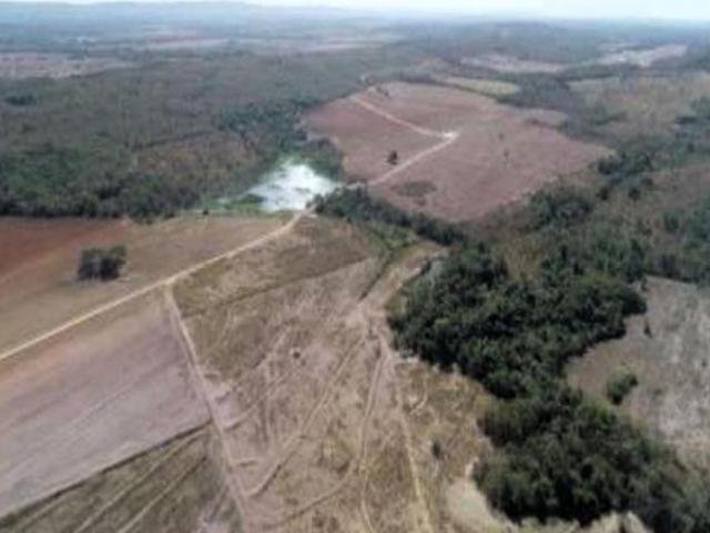 LEILÃO EXCLUSIVO: Faz São Luís Nova Brasilândia/MT, área total: 1.791,0763ha