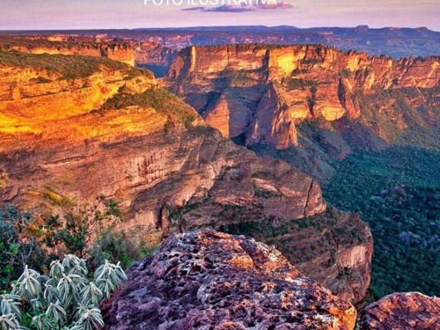 LEILÃO EXCLUSIVO: Fazenda Marwil 2.136,1150HAS Chapada dos Guimarães/MT