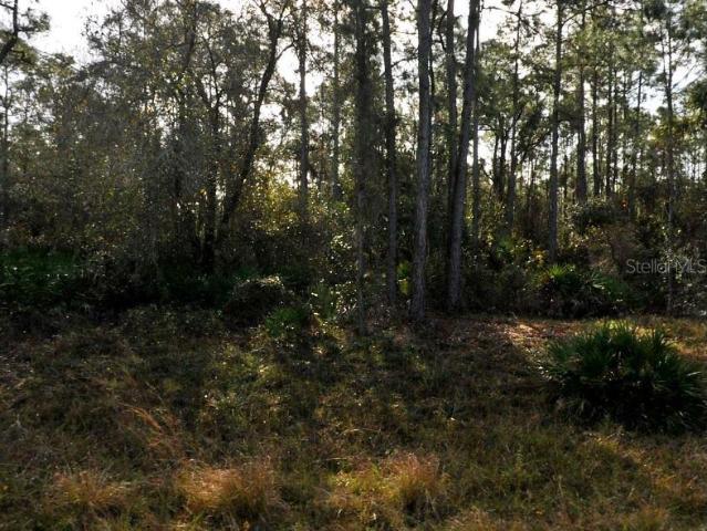 Lestock Ave Port, North Port, FL 34288 | MLS #O6189