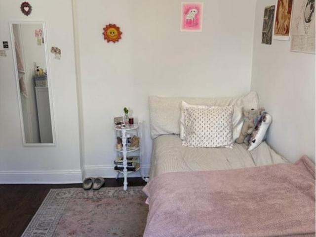 LES fully furnished room available May Mid August
