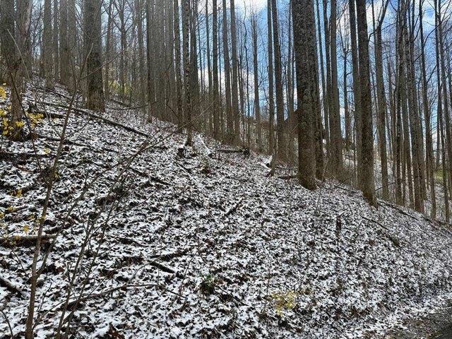 Letties Ln, Balsam, NC 28779