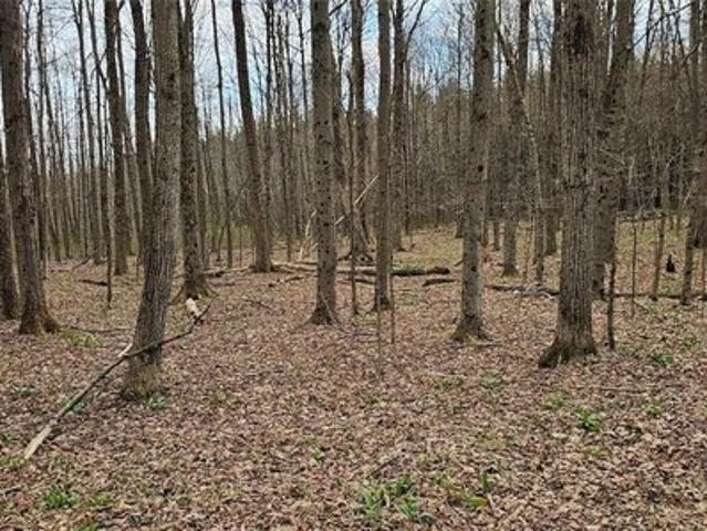 Level Green Rd, Berkshire, NY 13736