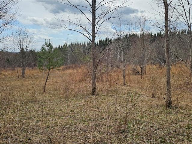 Level Green Rd, Berkshire, NY 13736 | MLS #S1673 | Compass