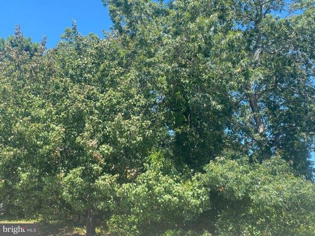 Levi Rd Nw, Stafford Township, Plot For Sale