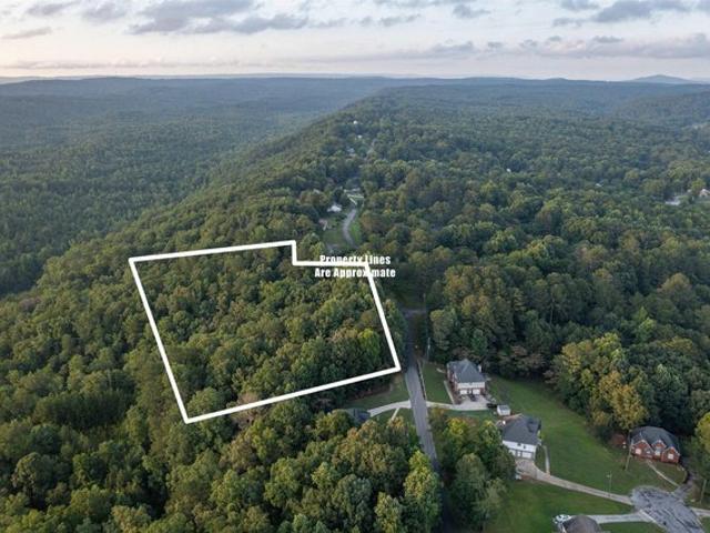 Levine Rd, Odenville, AL 35120