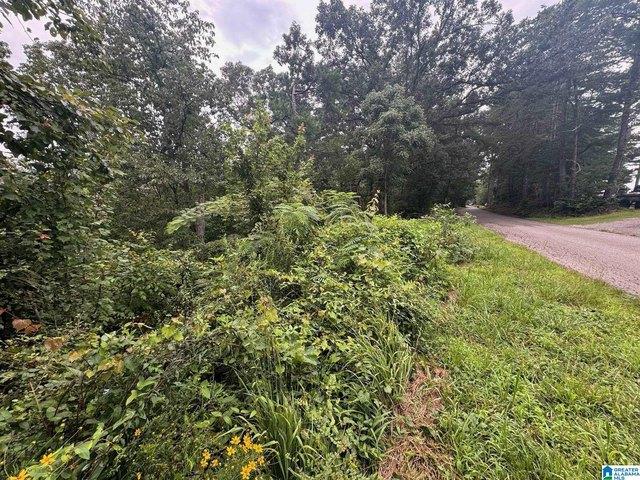 Levine Rd Lot 0, Odenville, AL 35120