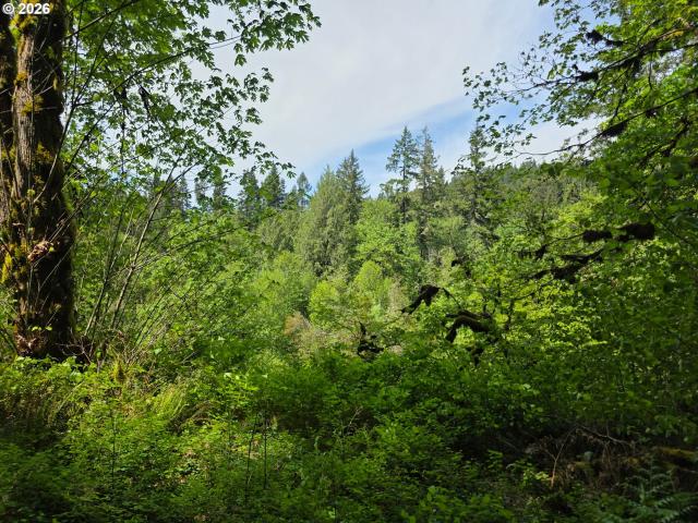 Lewis Cemetery RD