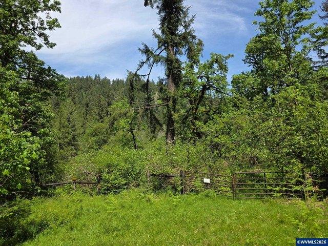 Lewis Cemetery Rd Lot 500, Silverton, OR 97381