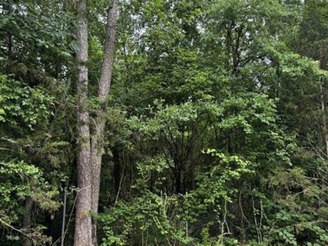 Lewis Dr Lot 20, Lavonia, GA 30553