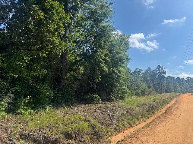 Lewis Dr Lot 6, Georgetown, GA 39854