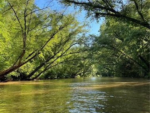 Lewis Grindle Rd Parcel 4, Dahlonega, GA 30533