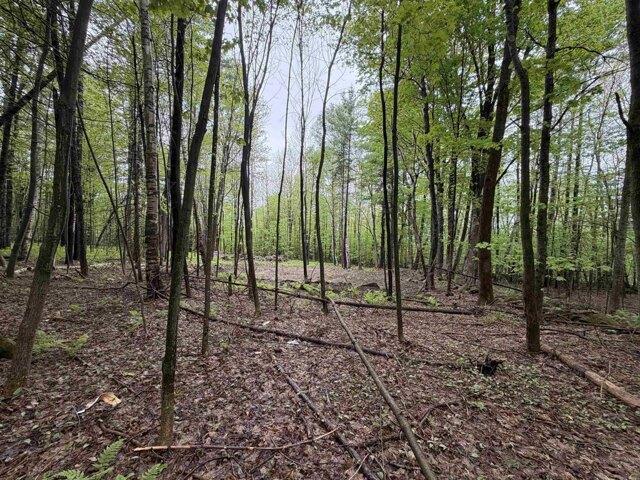 Lewis Hill Rd, Bethlehem, Plot For Sale