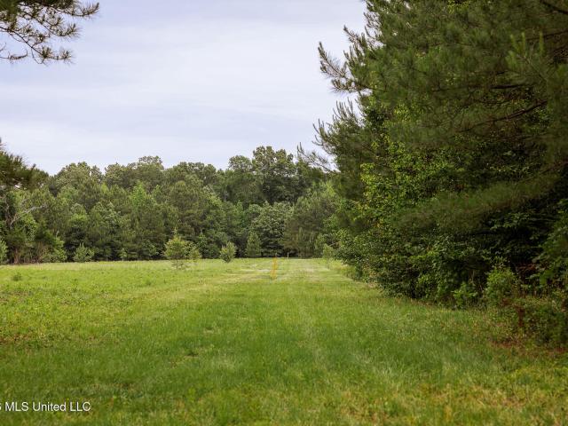 Lewis Lane, Gloster, MS 39638