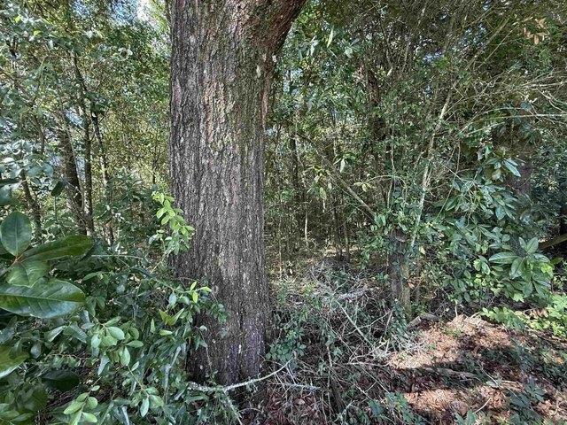 Lewis Ln, Quincy, FL 32351