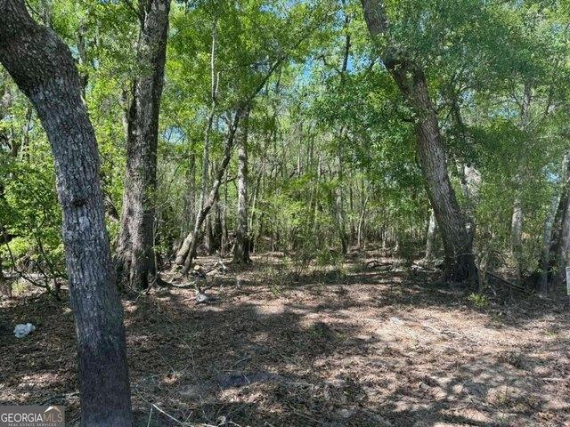 Lewis Lndg, Nahunta, GA 31553