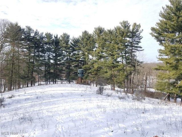 Lewis Rd, Salineville, OH 43945
