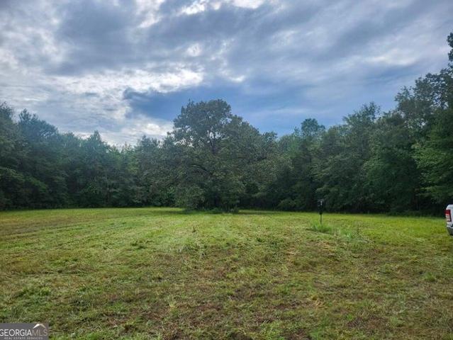 Lewis Station Rd, Sylvania, GA 30467