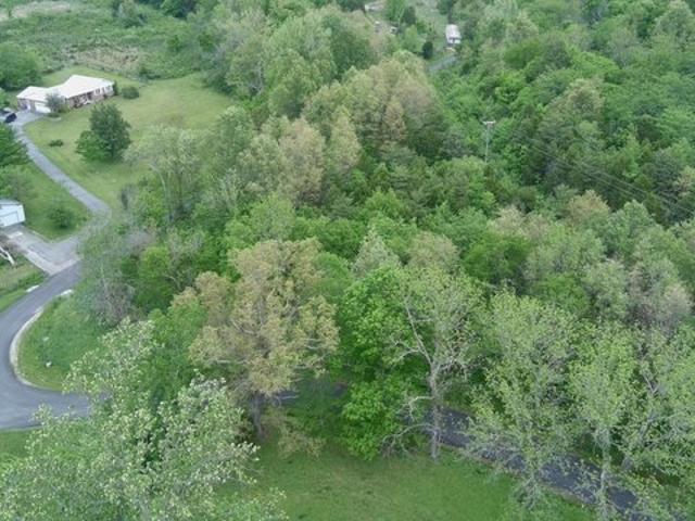 Lewistown Church Rd, Princeton, KY 42445