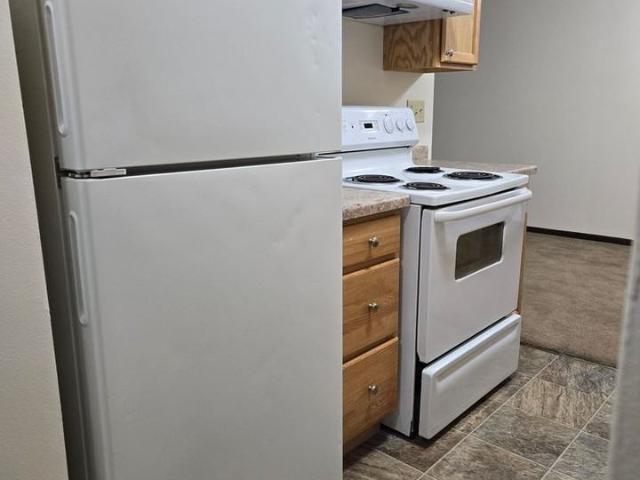 Lexington Apartments 1 Bedroom Apartment for Rent at 304 31st Avenue North, Fargo, ND 58102 Northport
