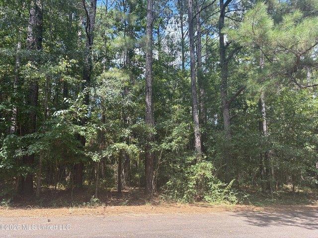 Lexington Ln, McComb, MS 39648