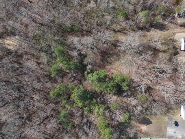 Lexington TN 38351 88478480