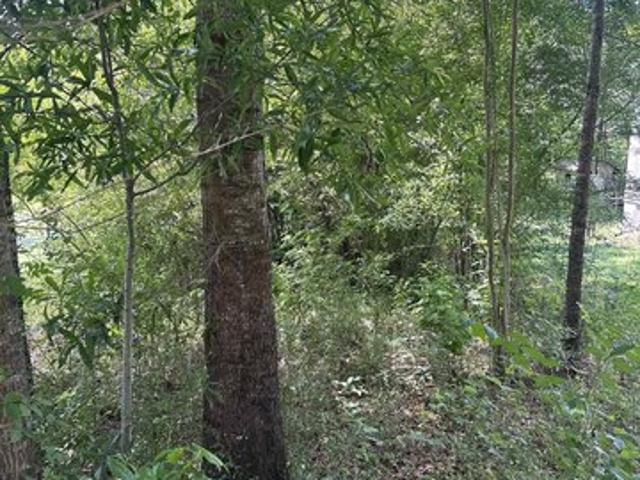 Limbaugh Rd Lot 0, Sylacauga, AL 35150