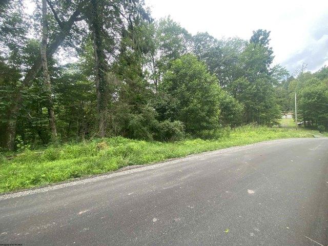 Limestone Rd, Parsons, WV 26287
