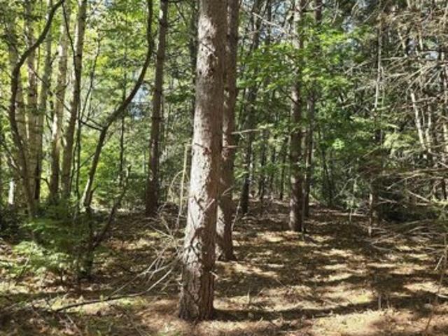 Liminga Rd Unit,atlantic Mine, Plot For Sale