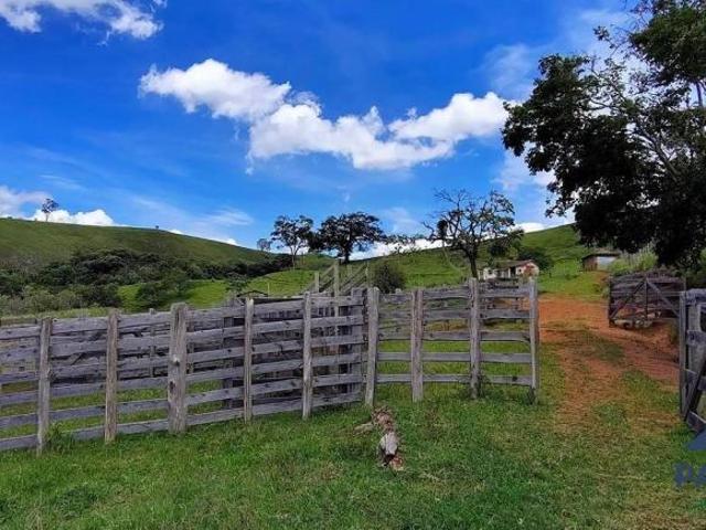 LIMOEIRO CRAVO – ESTRATÉGICO, ENCANTADOR E PRONTO PARA VOCÊ!
